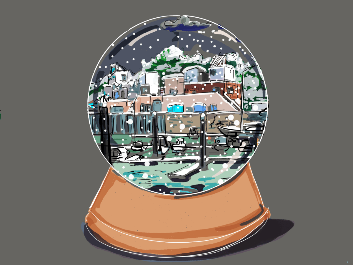 2024 what a year for Artist Alison Jacobs! – Alison Jacobs